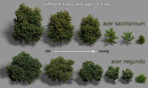 Realistic Trees – MapForge