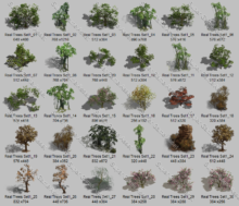 Trees, Rocks & Props – MapForge