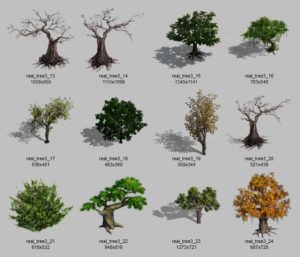 Trees, Rocks & Props – MapForge