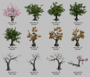 Trees, Rocks & Props – MapForge