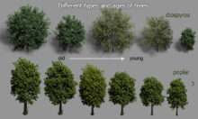 Realistic Trees – MapForge