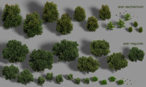 Realistic Trees – MapForge