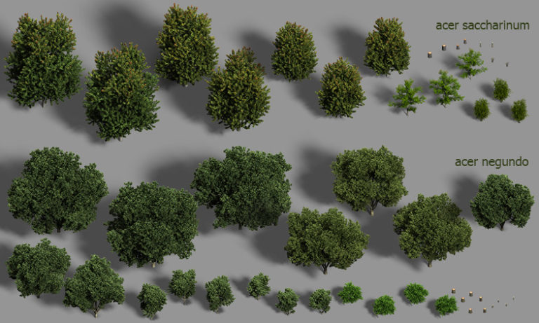 Realistic Trees – MapForge