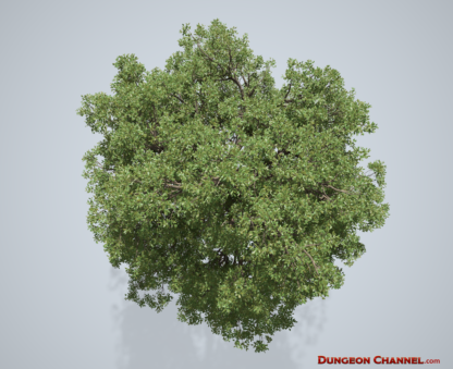 Seasonal Trees – MapForge