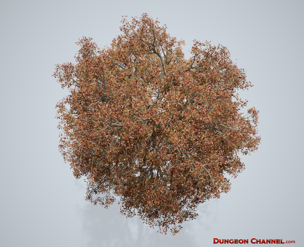 Seasonal Trees – MapForge